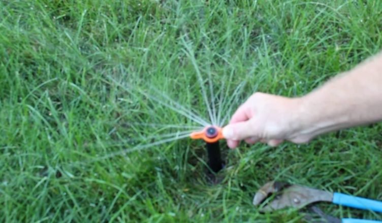 How To Adjust Hunter MP Rotator Sprinkler Heads - Creative Home Idea